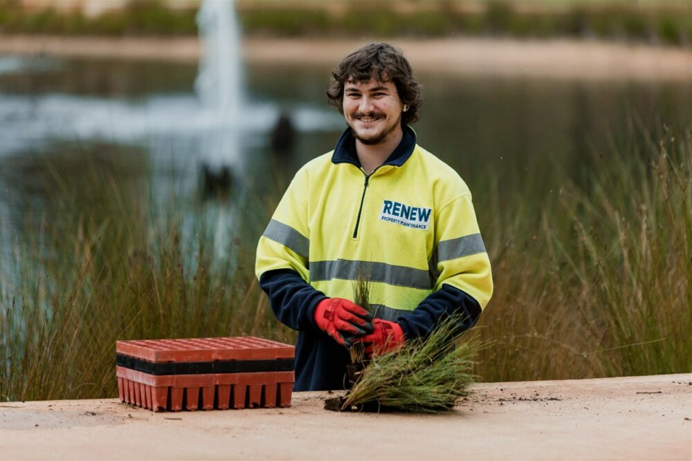 Grow program | Social Traders